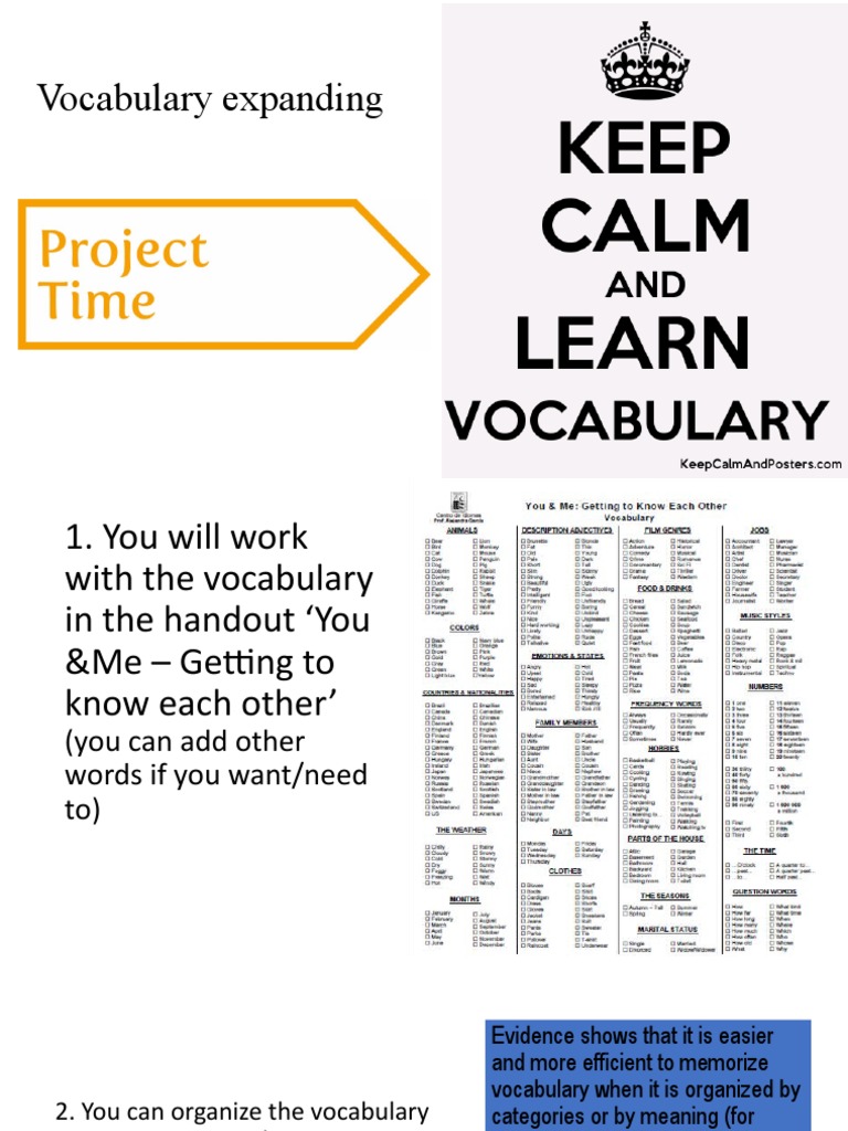 Vocabulary Project | PDF