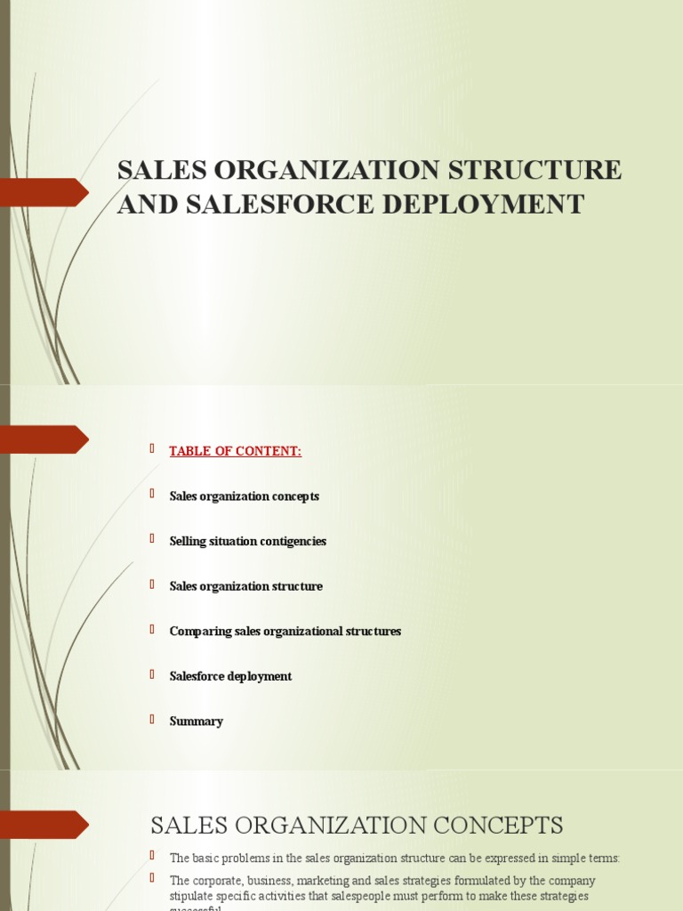 Sales Organization Structure and Salesforce Deployment | PDF | Sales ...