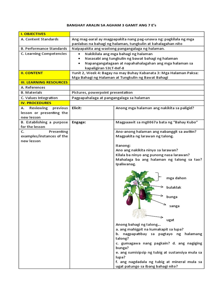 COT Bahagi NG Halaman | PDF