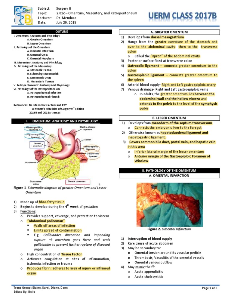 Surgery 2.01.3 Omentum, Mesentery and Retroperitoneum - Dr. Mendoza ...