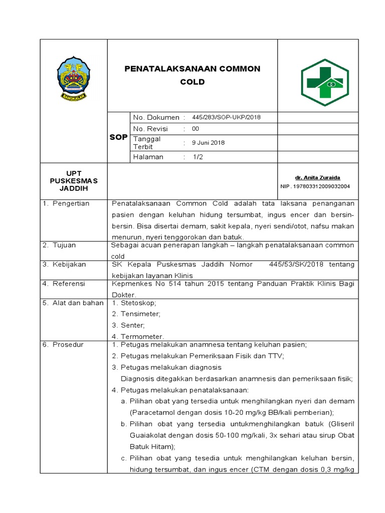 Penatalaksanaan Common Cold | PDF