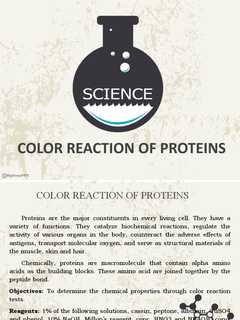 Protein Color Reaction Tests | PDF | Proline | Tyrosine