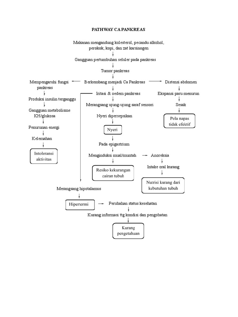 Pathway Ca Pankreas | PDF