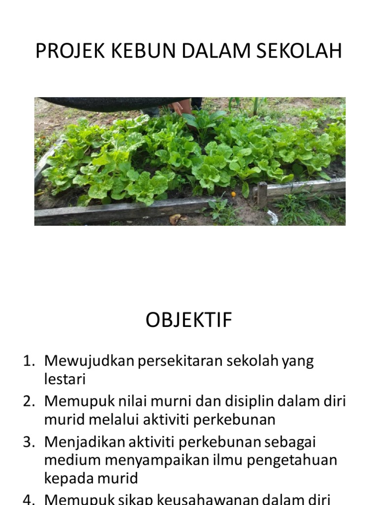 Pembentangan Projek Kebun Sekolah | PDF