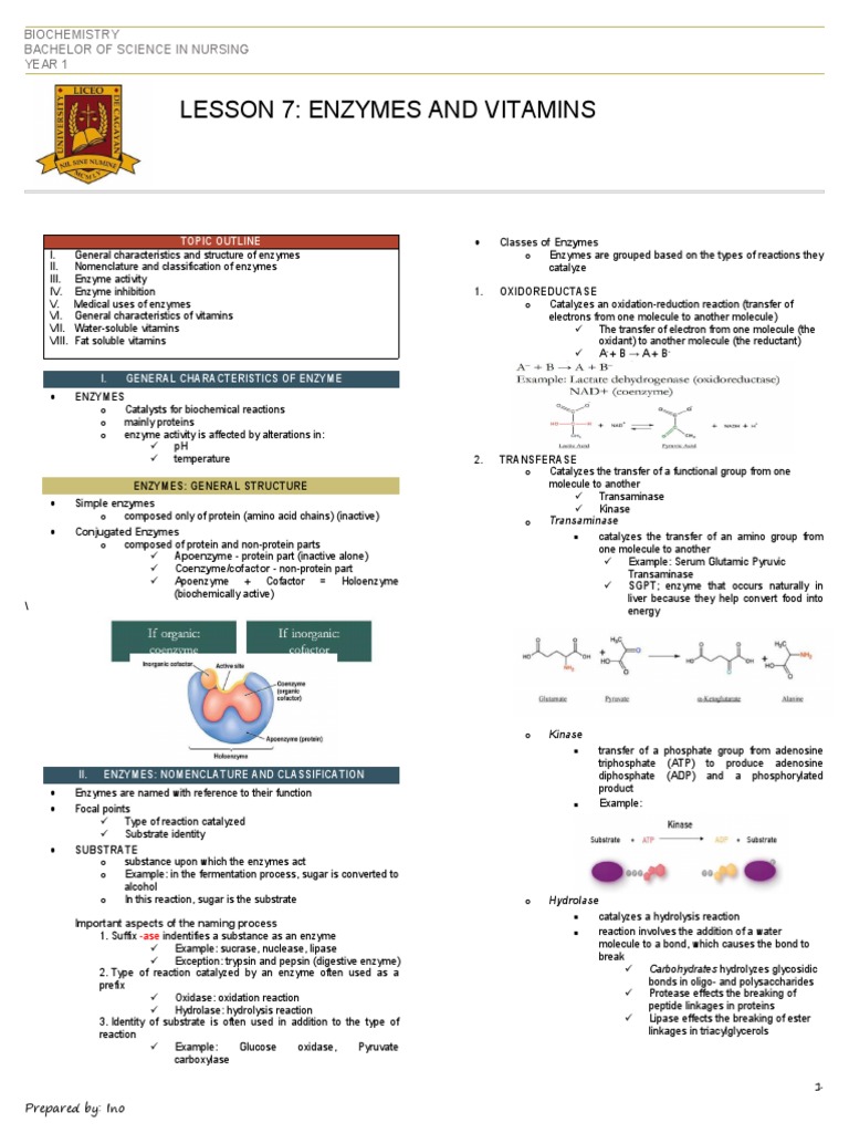 Semifinals-Lesson 7-Enzymes and Vitamins | PDF | Enzyme | Active Site