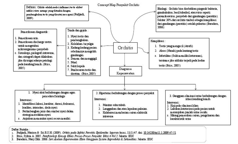 Concept Map Orchitis | PDF