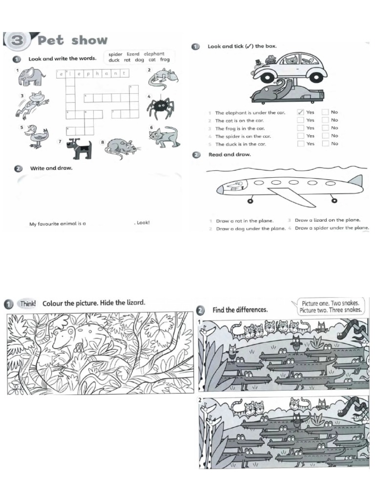 Unit 3 Enrichment Worksheets | PDF