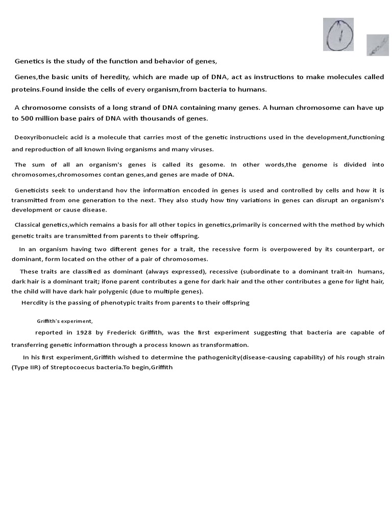 Griffith's 1928 Transformation Experiment | PDF | Gene | Genetics
