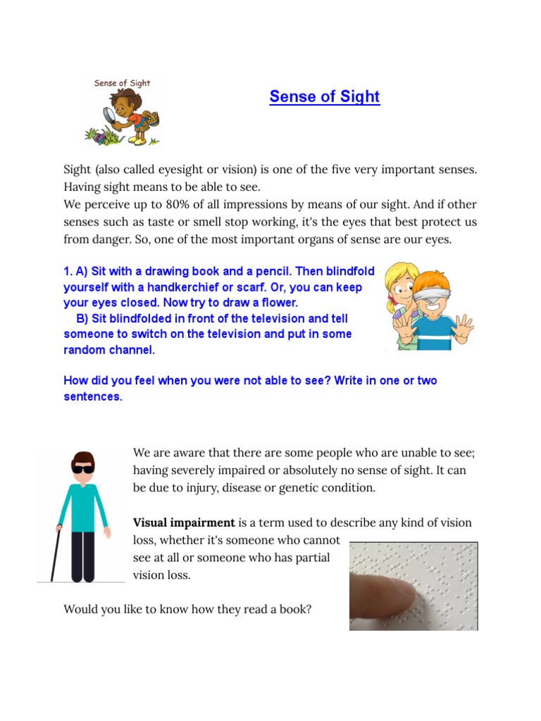 Sense of Sight: Visual Impairment Is A Term Used To Describe Any Kind ...