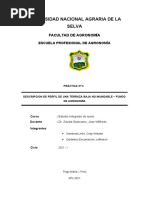 LITOSOLES | PDF | Suelo | Roca (geología)