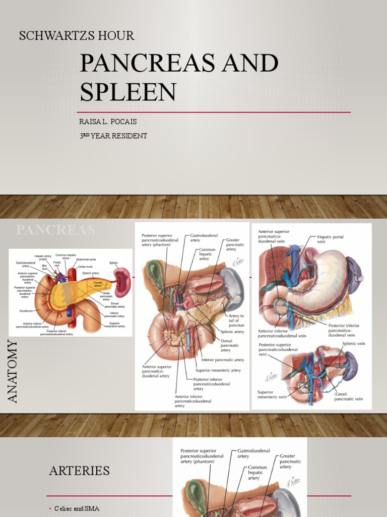 Pancreas and Spleen | Download Free PDF | Pancreas | Pancreatic Cancer