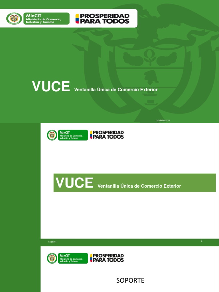 Guía de Solicitud de Importación VUCE | PDF