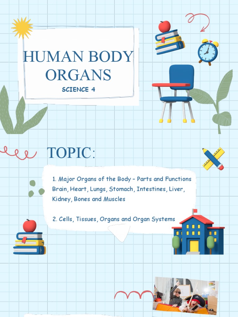 Human Body Organs: Science 4 | PDF | Human Body | Lung