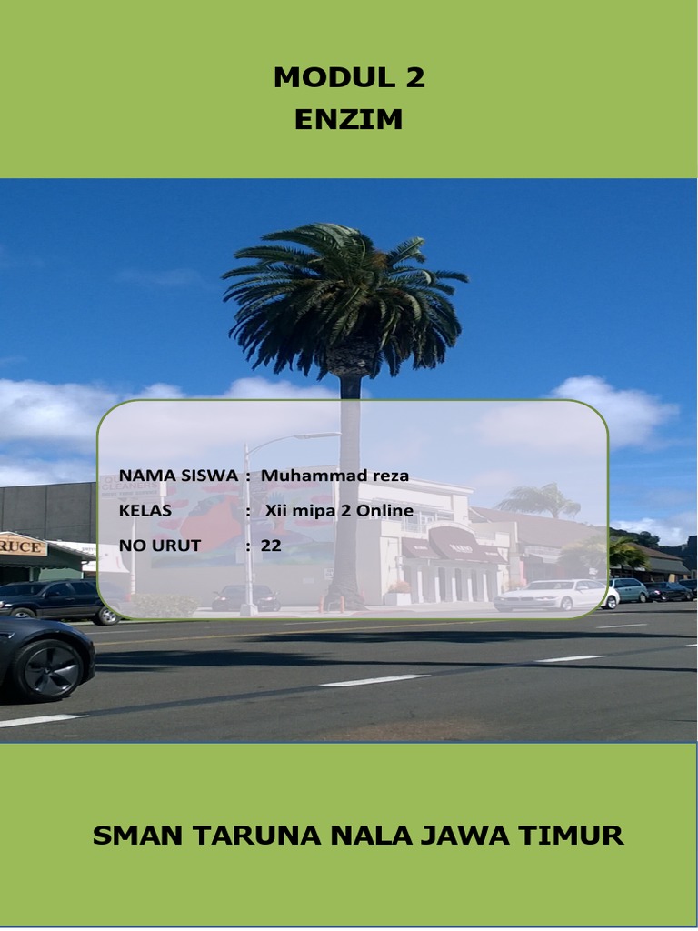 Modul 2 KB 1 Enzim | PDF