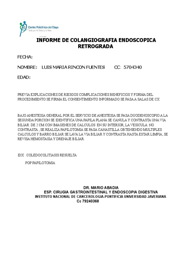 Plantilla Cpre | PDF