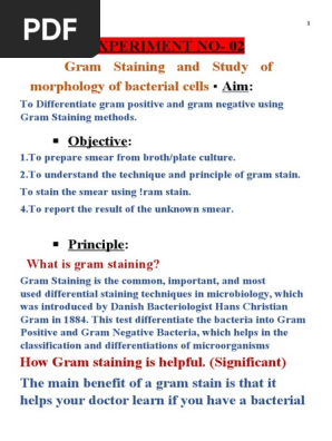 Gram Staining Principle Procedure Interpretation