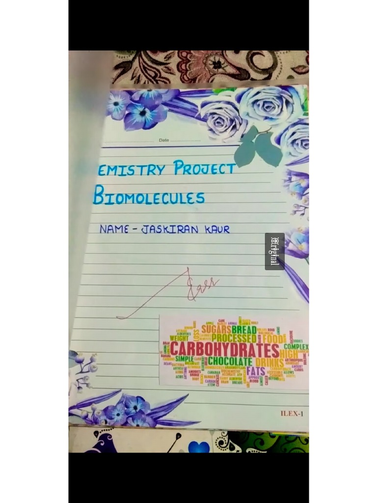 Biomolecules Chemistry Project File | PDF