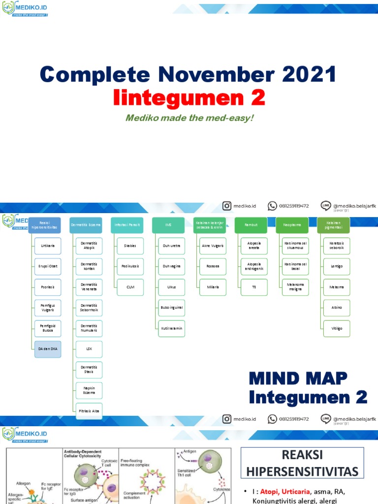 Integumen 2 Complete November | PDF