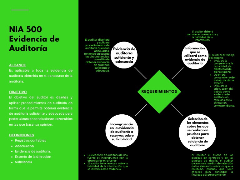 Mapa Nia 500 | PDF | Auditoría | Contralor