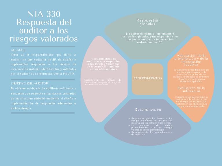 Mapa Nia 330 | PDF | Auditoría | Contralor