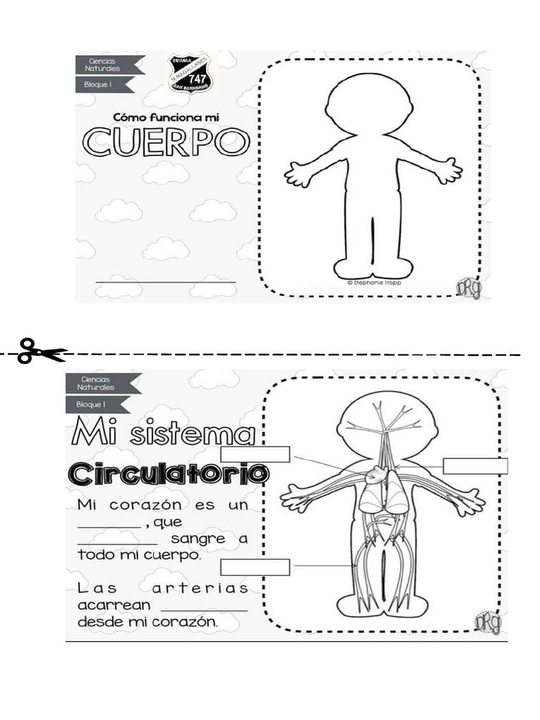 Cuadernillo Cuerpo Humano Para Colorear Pdf