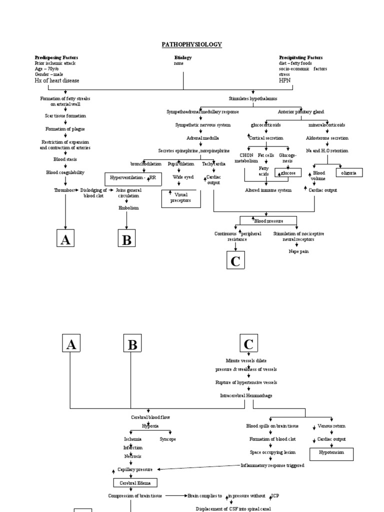Pathophysiology Cerebrovascular Disease Schematic Diagram Pa