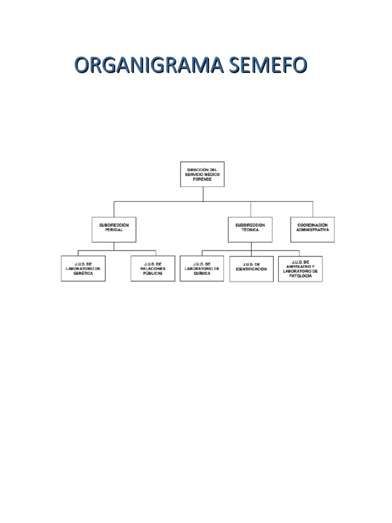 Organigrama Semefo | PDF