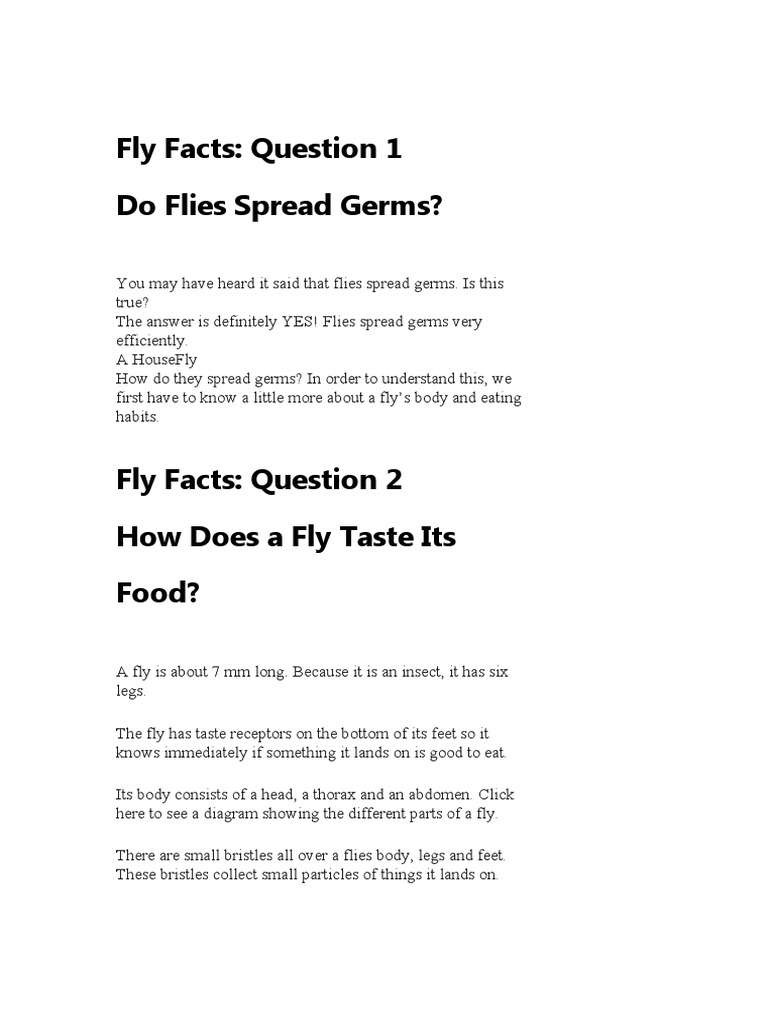 Fly Facts: Question 1 Do Flies Spread Germs? | PDF | Fly | Insects
