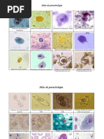 Atlas de Parasitologia | PDF
