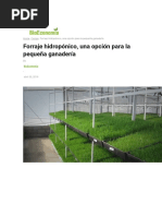 Manual para El Establecimiento de Una Huerta de Aguacate | PDF | Aguacate | Fertilizante