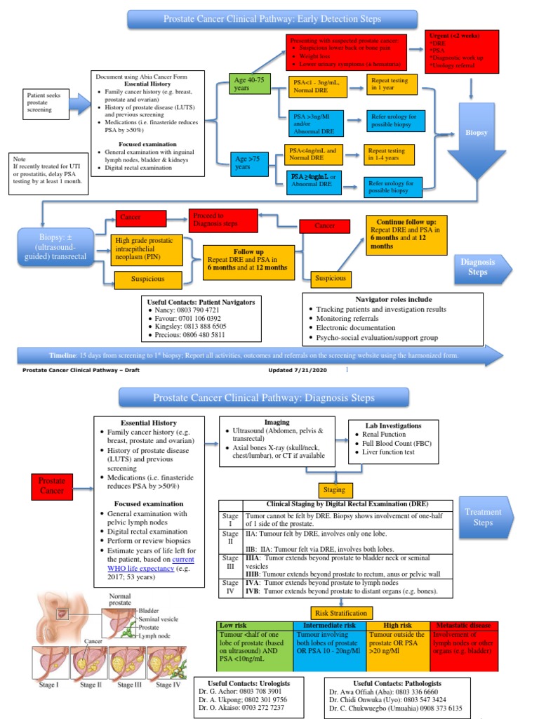 Prostate Cancer Clinical Pathway - July 2020 | PDF | Prostate Cancer ...