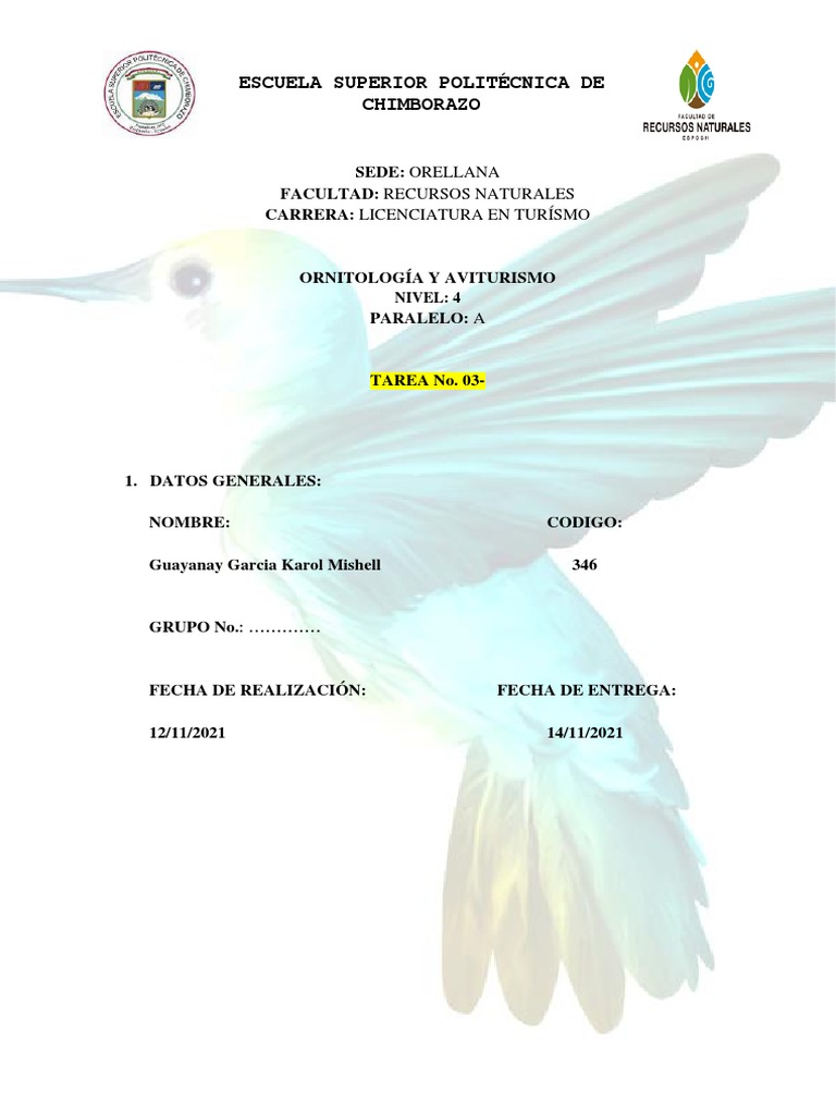 Mapa Conceptual Guayanay Karol | PDF | Aves