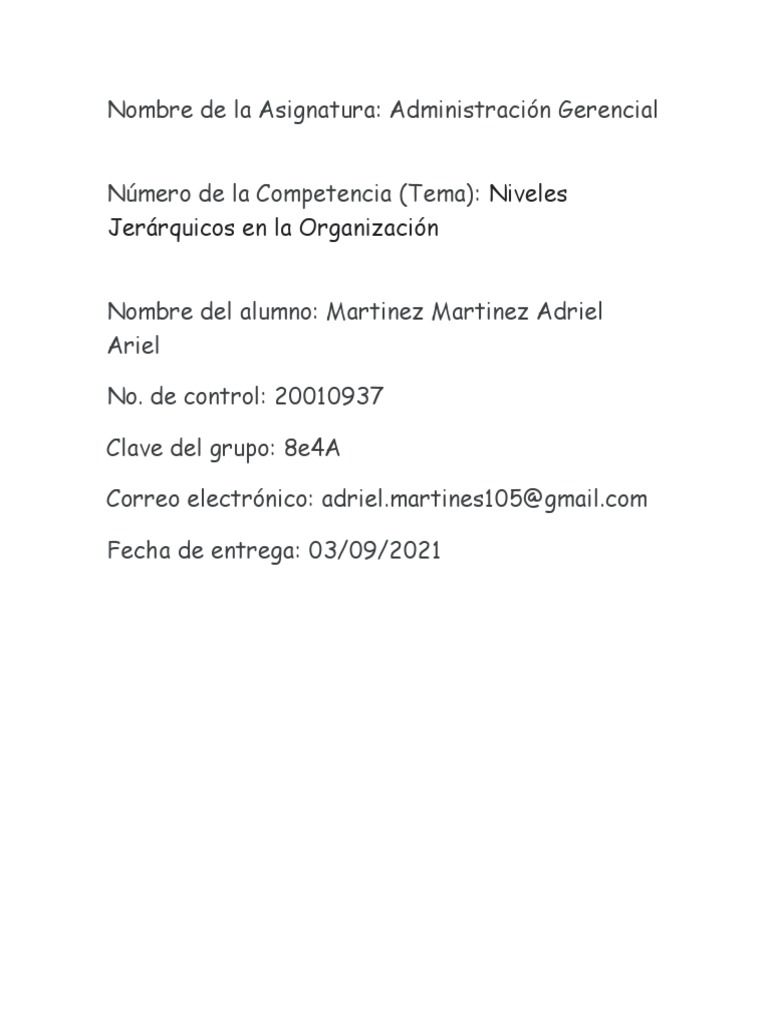 3 Niveles de Gestión Empresarial Tarea Adriel | PDF | Planificación | Economias