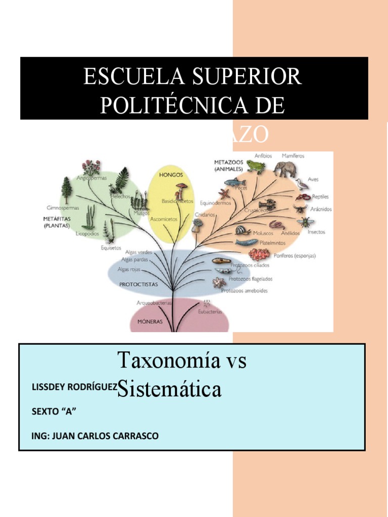 SISTEMÁTICA | PDF | Evolución | Biología