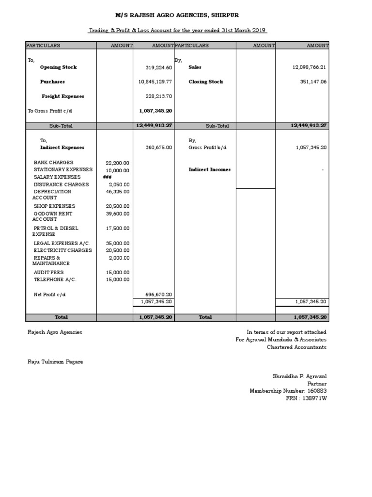 Balance - Sheet 2019 | PDF | Expense | Business