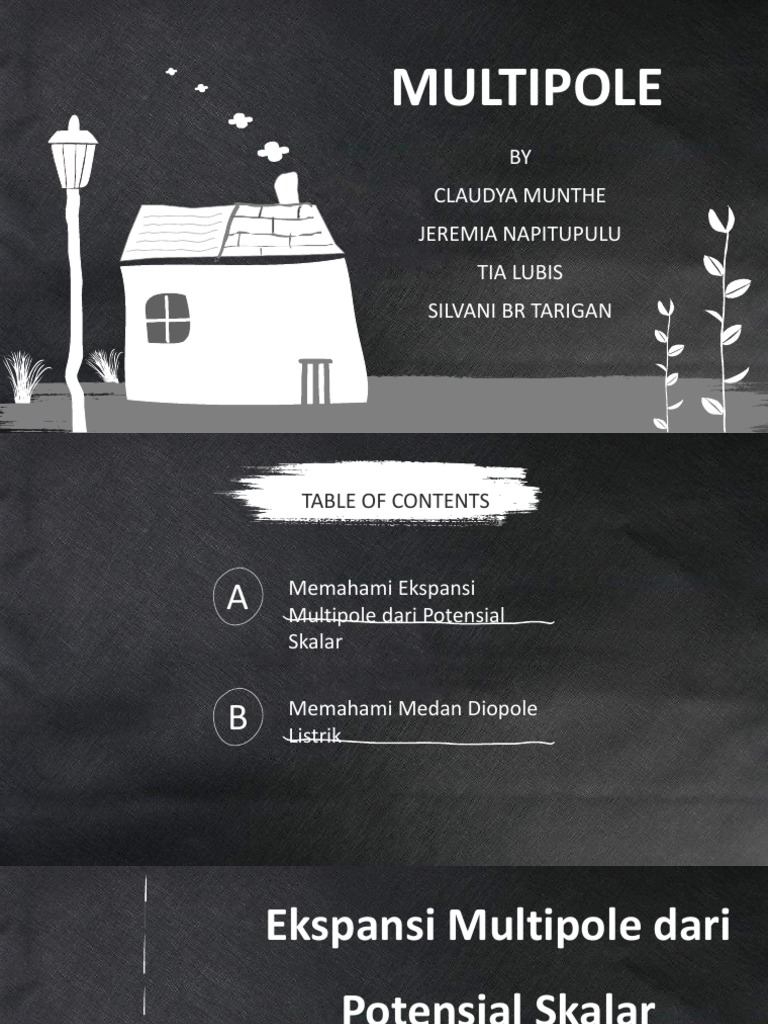 Group 1 PPT Multipole | PDF