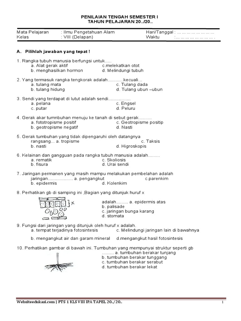 Soal PTS IPA Kelas VIII Ganjil | PDF