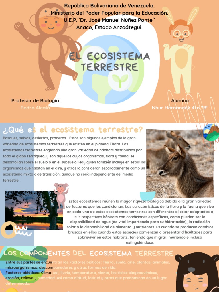 Ecosistema Terrestre | PDF | Ecosistema | Suelo