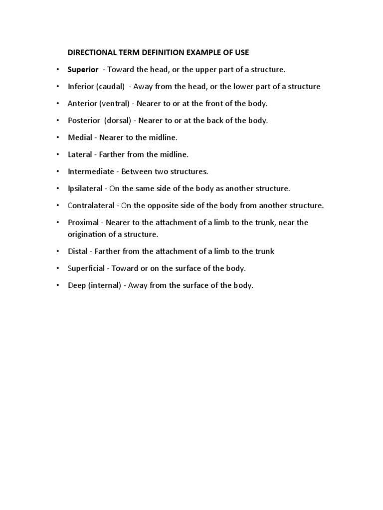 Directional Term Definition Example of Use | PDF