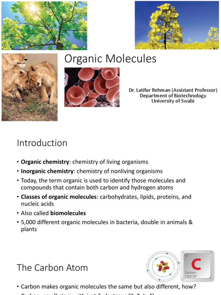 Organic Molecules. | PDF | Molecules | Organic Compounds
