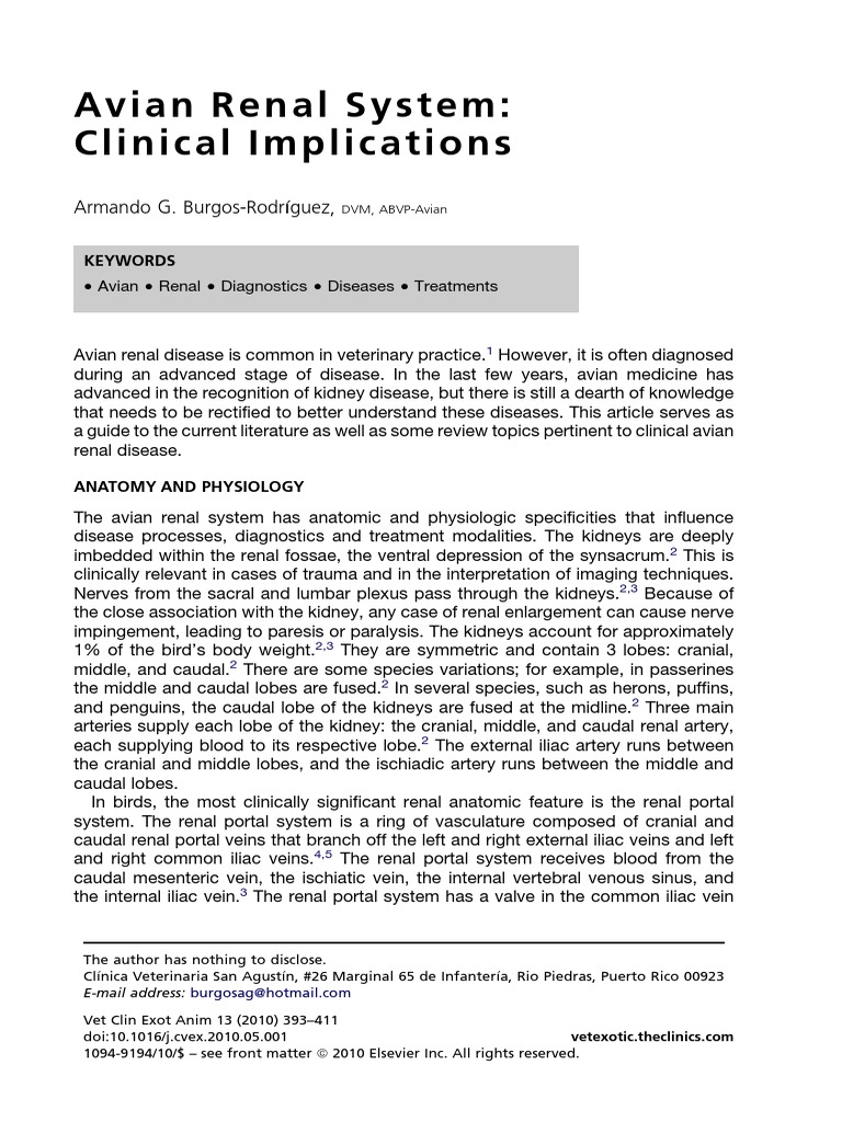 Avian Renal System | PDF | Kidney | Clinical Medicine