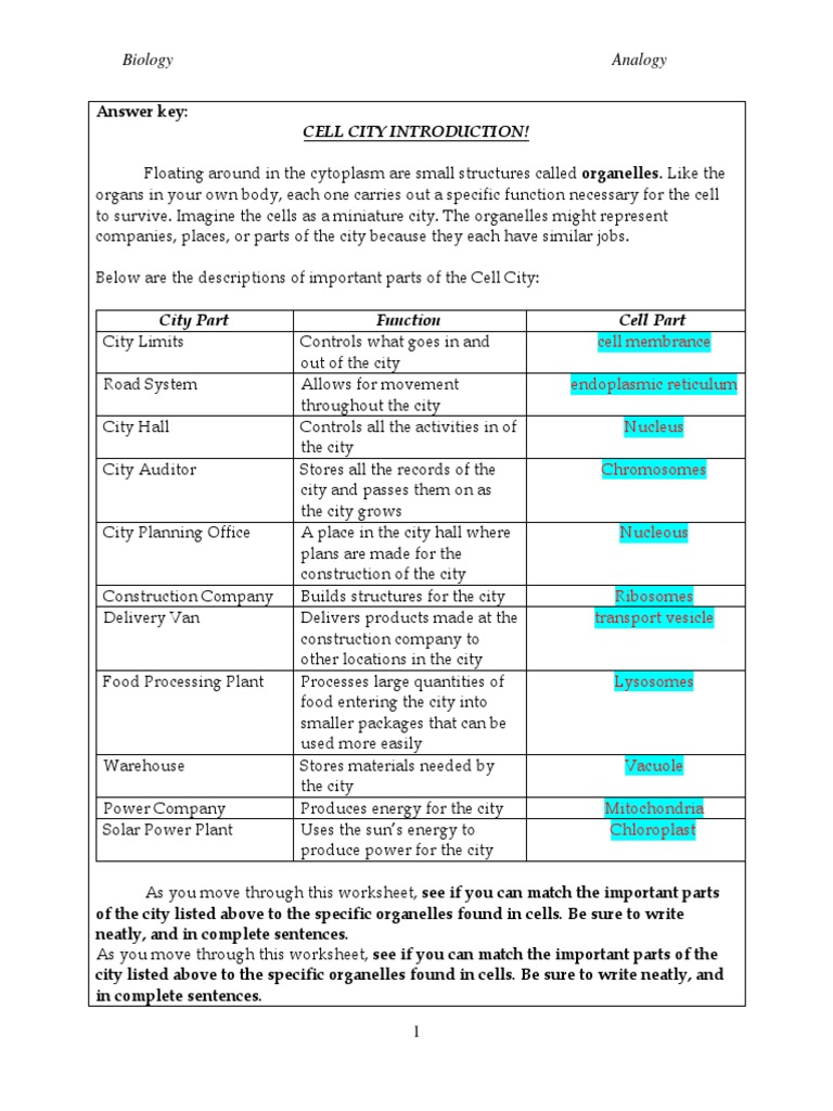 Cell City Worksheet Answer Key | PDF | Cell (Biology) | Cytoplasm