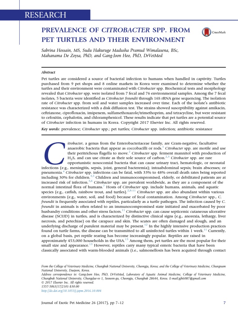 Prevalence of Citrobacter SPP From Pet Turtles and Their Environment ...