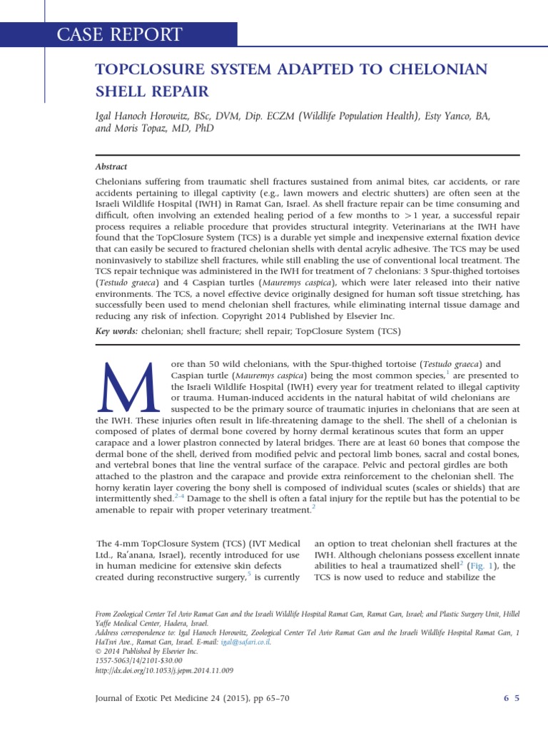 Case Report: Topclosure System Adapted To Chelonian Shell Repair | PDF ...