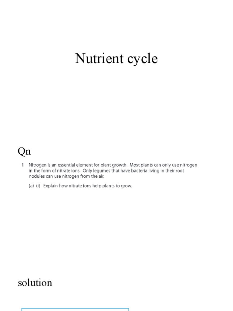 Nutrient Cycle Model Answers | PDF | Cooking, Food & Wine | Science ...