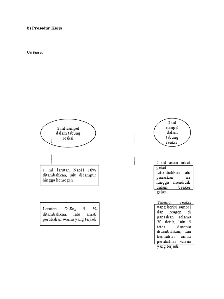 Prosedur Uji Biuret dan Reagen Kimia | PDF