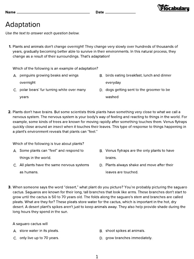 Adaptation v1 Read and Respond | PDF