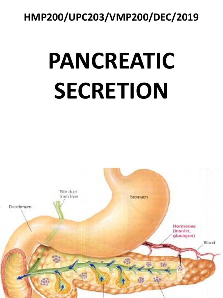 Understanding Pancreatic Secretion | PDF