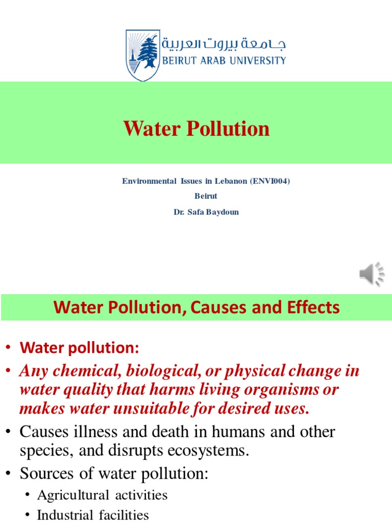 Water Pollution: Environmental Issues in Lebanon (ENVI004) Beirut Dr ...