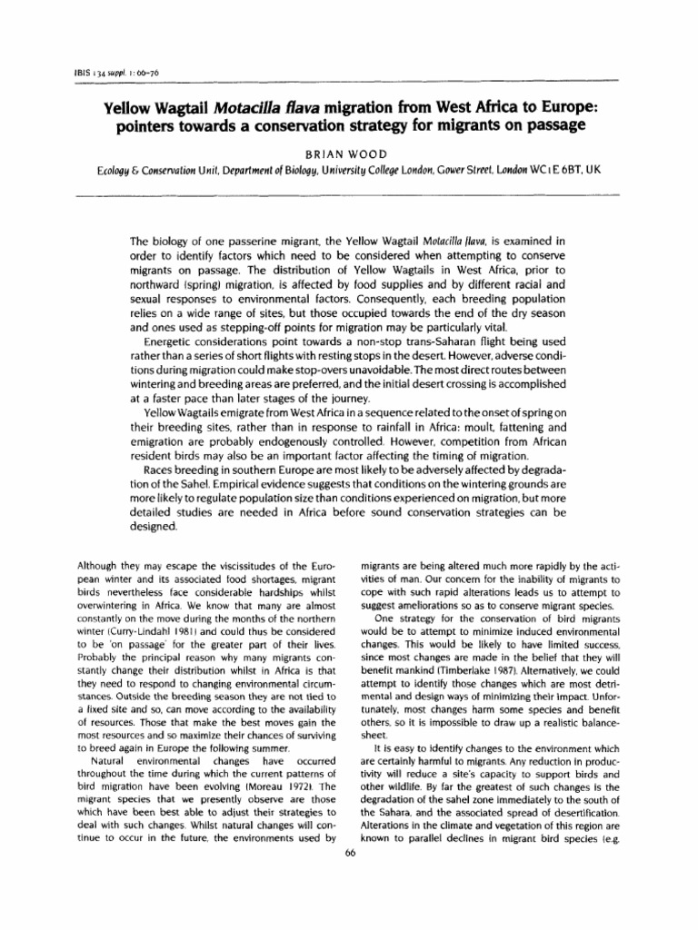 Yellow Wagtail West To Europe: Pointers Towards Consewation Strategy ...